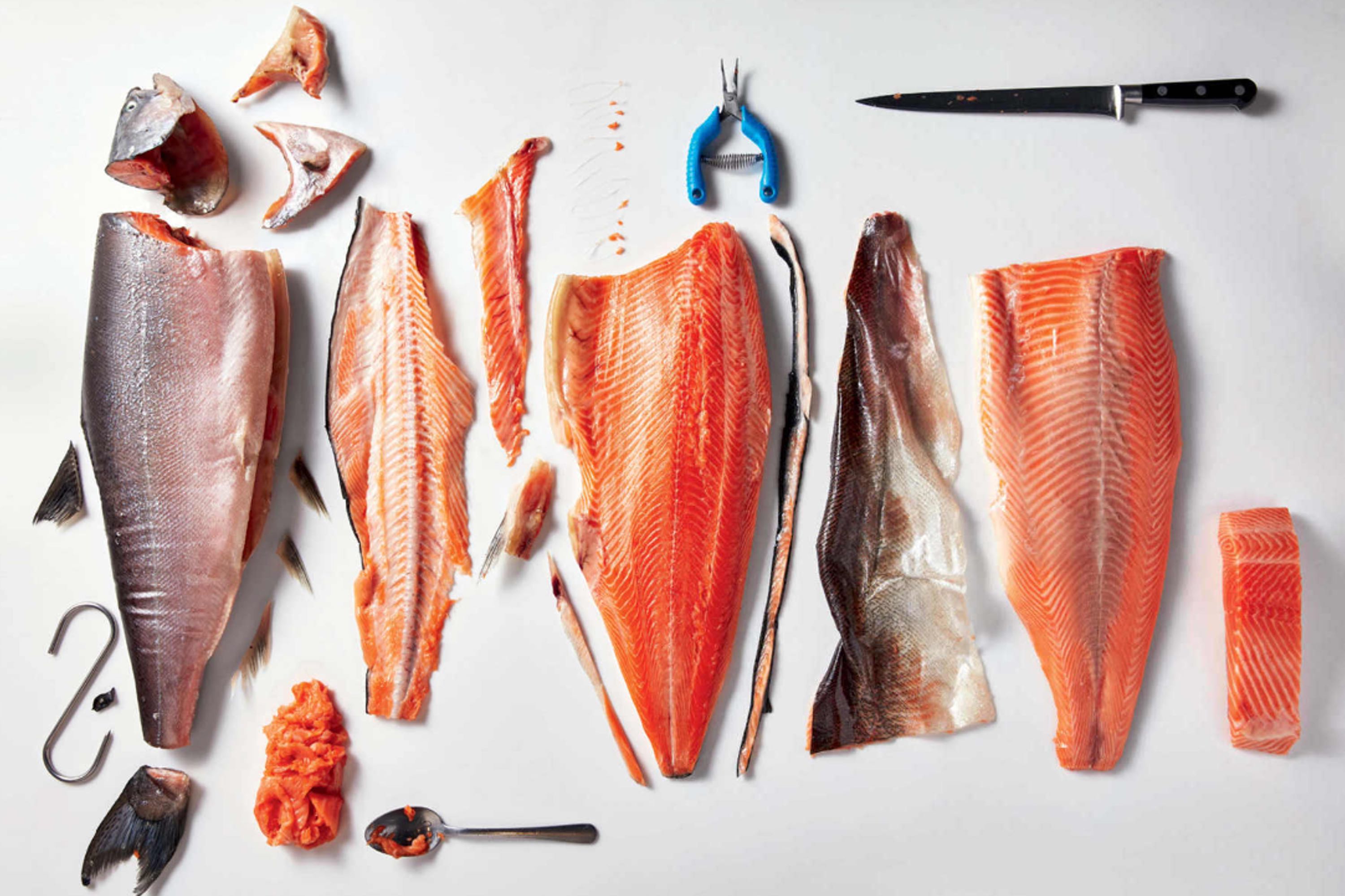 Fish Butchery: Mastering The Catch, Cut, And Craft af Josh Niland - Køb nu