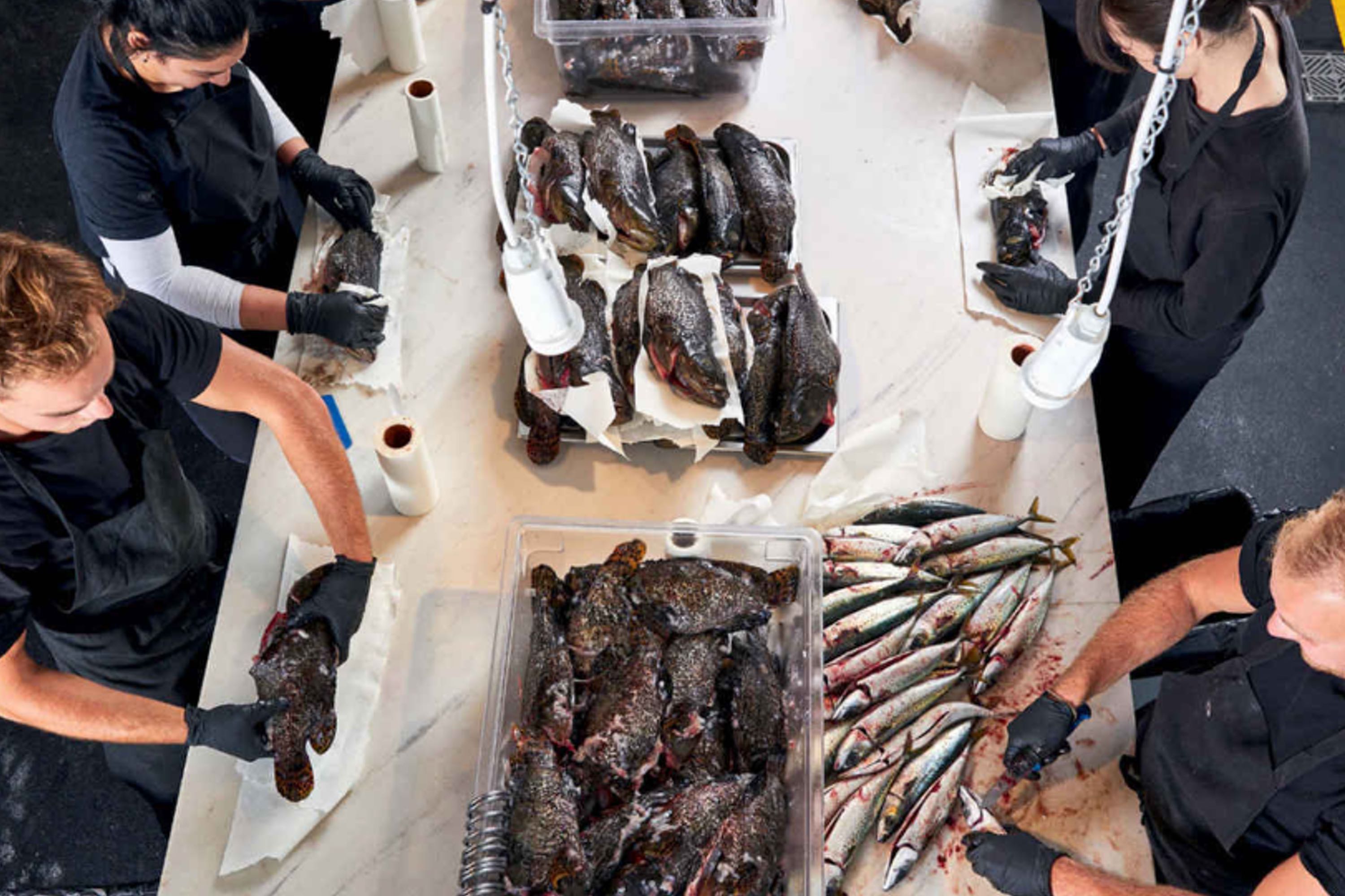 Fish Butchery: Mastering The Catch, Cut, And Craft af Josh Niland - Køb nu